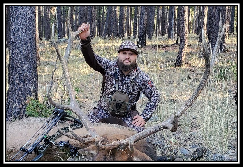 ELK – Volumetric Scoring